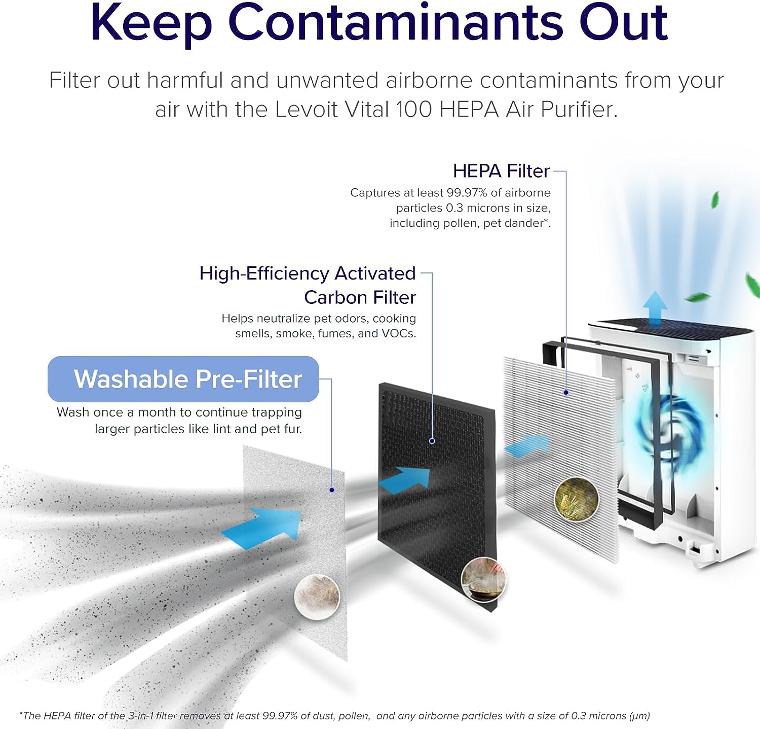 Levoit Vital 100 Air Purifier: Expert Review & Guide